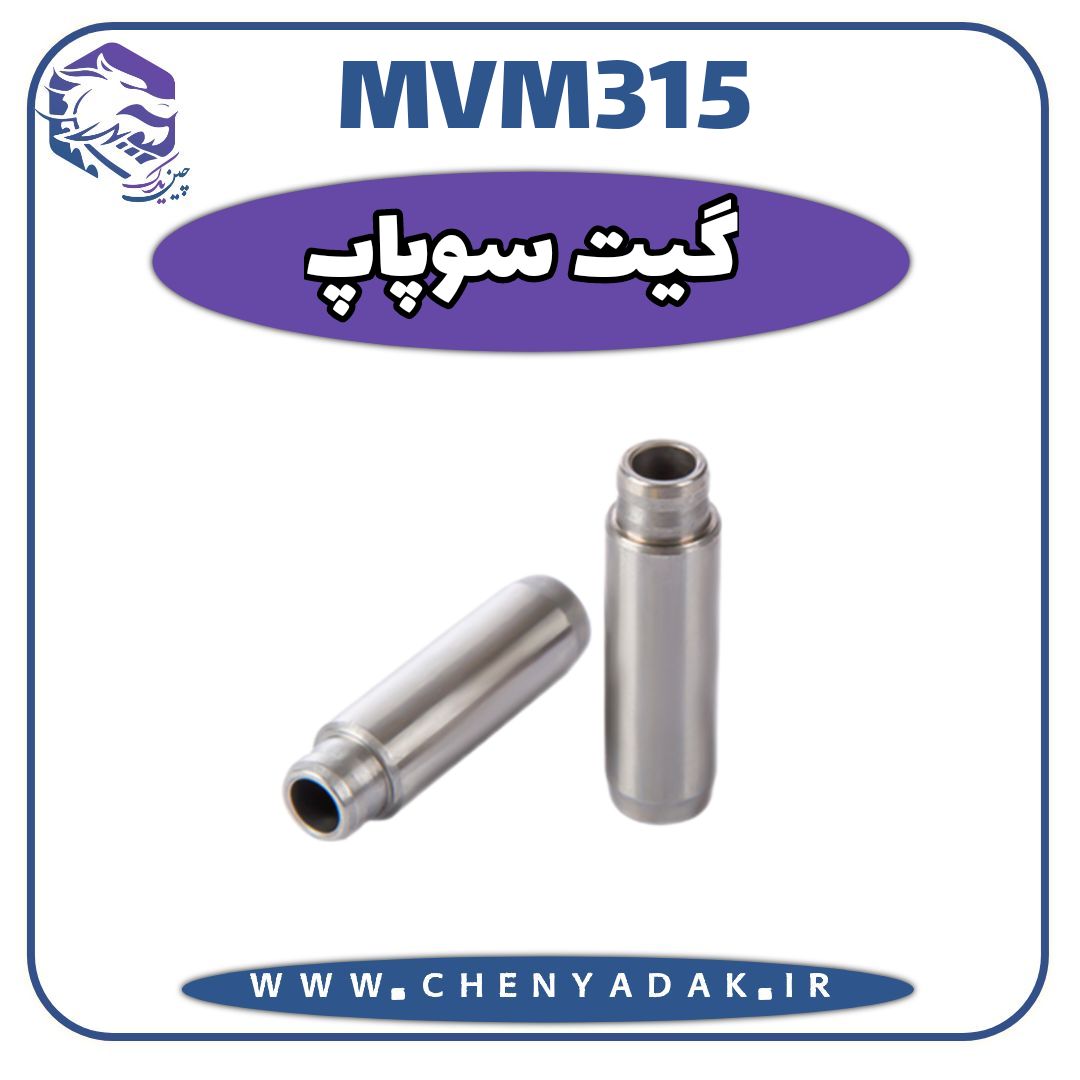 قیمت و خرید گیت سوپاپ MVM 315 ارسال فوری به تمام ایران